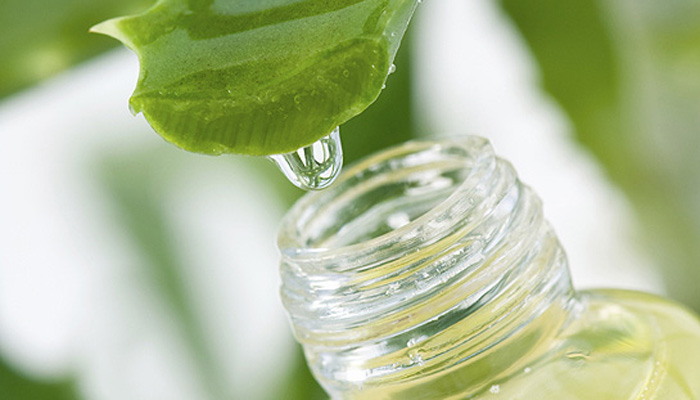 Napravite sok od aloe vere | Dečji sajt