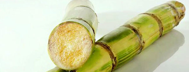 9 žitarica koje ne sadrže gluten | Dečji sajt