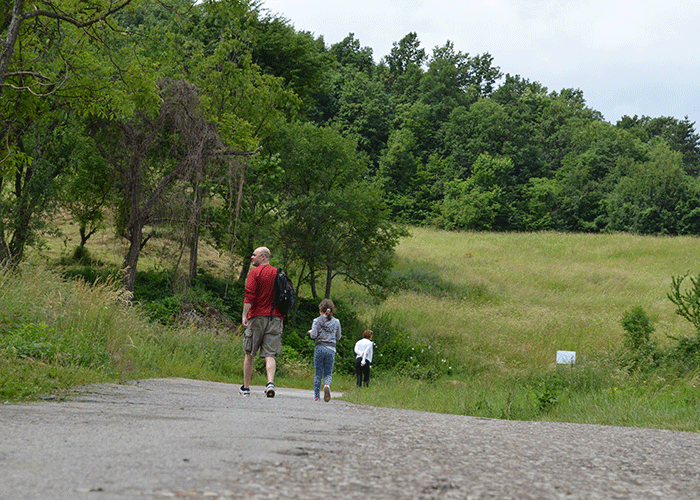 Zapadna Srbija iz srca Gučevskih vajata | Dečji sajt